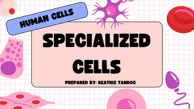 Cells-and-Organisation-L4-Specialised-Cells-PowerPoint.pptx