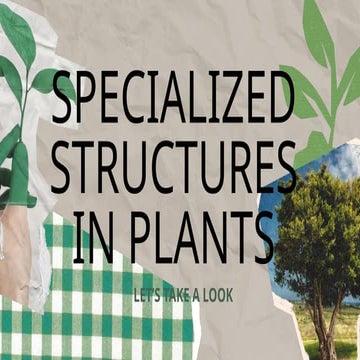 Specialized Structure in Plants and Adaptation | PPTX