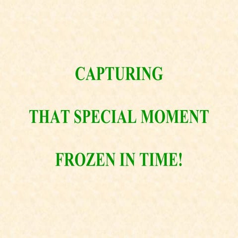 Special Moments | PPS