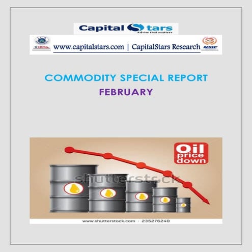 Special report on commodity | PDF