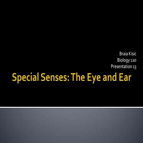 Special senses | PPTX