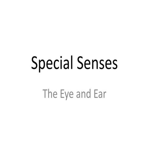 Special senses | PPT