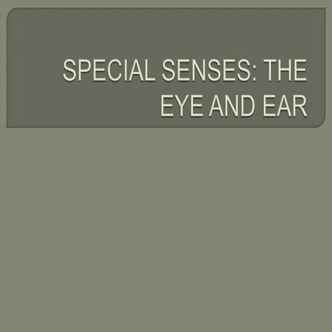 Chapter 13 eye and ear abbreviation | PPT