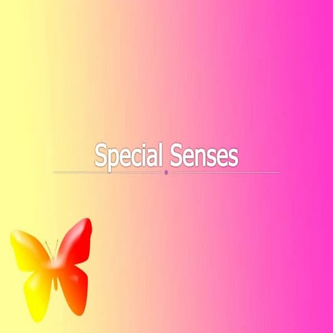 Special senses | PPT