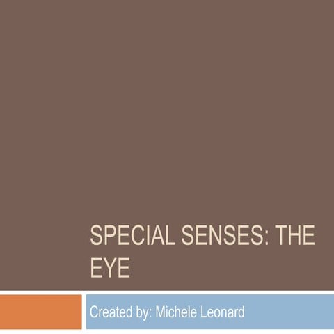 Special senses | PPT