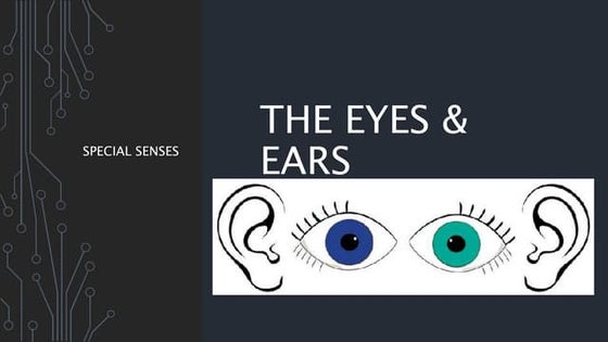 SCIENCE PARTS OF SENSE ORGANS IN GRADE THREE | PPTX | Ear, Nose and Throat Conditions | Diseases ...