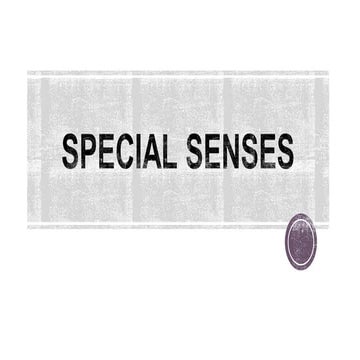 SPECIAL SENSES | PPT