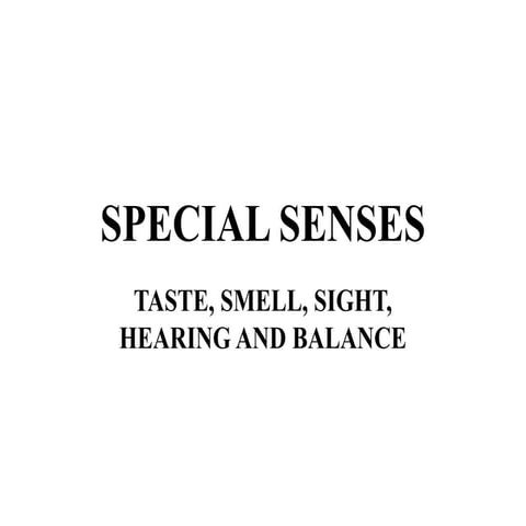 Sensory system, ear,eye anatomy | PDF