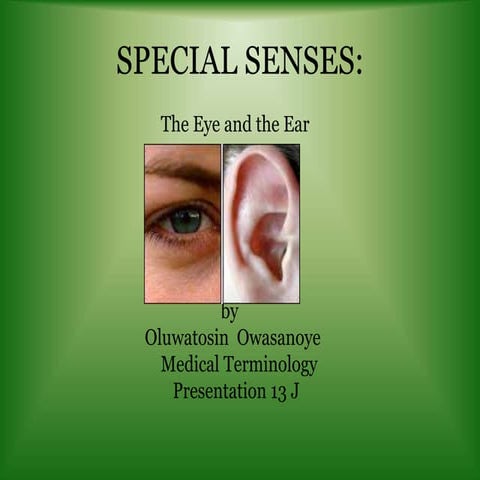 Special senses 1 | PPTX | Eye and Vision Conditions | Diseases and Conditions