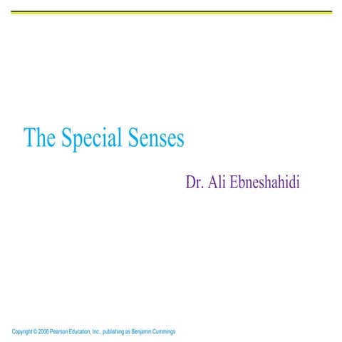 Special Senses Eye and Ear and their olfactory receptors | PDF