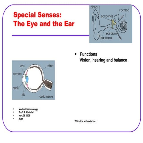 Abbreviations of the Ear and Eye | PPTX