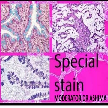 Special Stains Guide: Amyloid, Pigments, Microbes | PPT