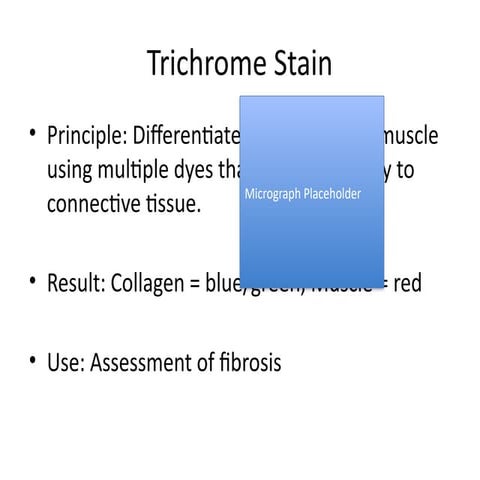 Special Stains Histopathology Good Pptx
