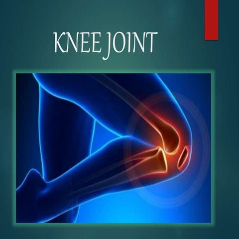 Special_test_for_all_joints.pdf
