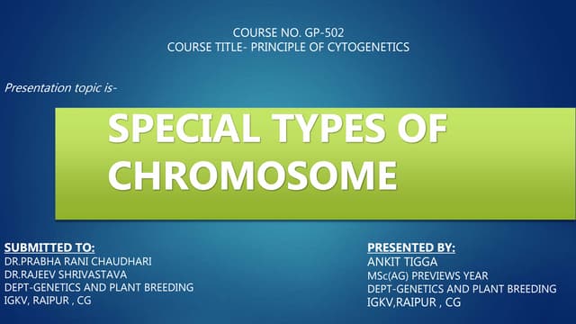 Special type of chromosomes | PPTX