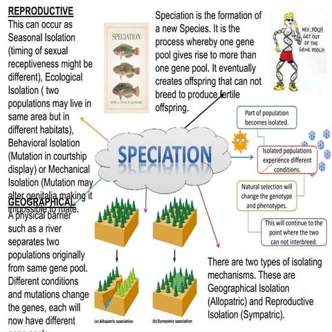 Speciation powerpoint | PPT