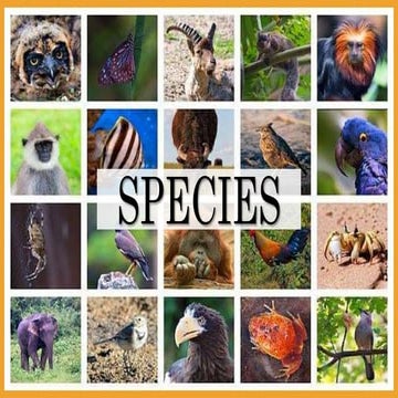 This lesson deals with Species that Thrive on Earth | PPTX