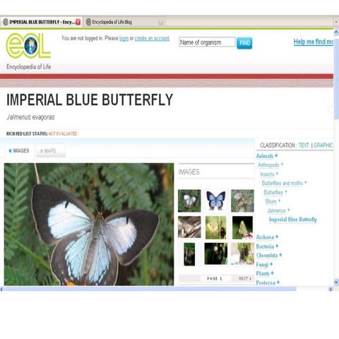 Species Pages Slide Show | PPT