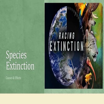 Species Extinction- Reasons and Effects? | PPTX