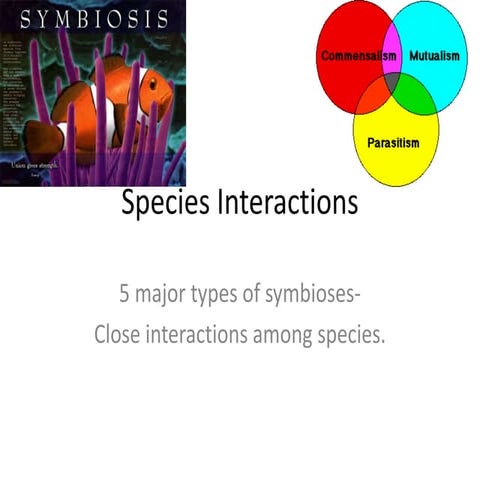 Species interactions | PPTX