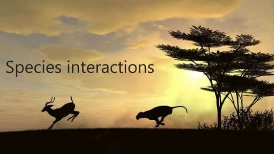 Species Interaction | PPT