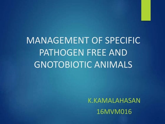 GNOTOBIOTIC ANIMALS | PPT