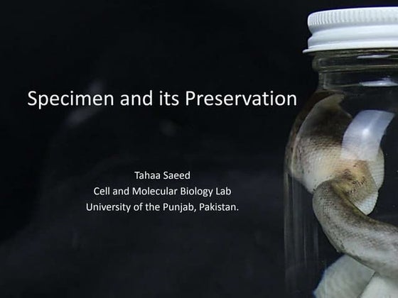 Methods to preserve specimens | PPT