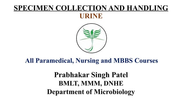 LABORATORY URINE DRUG SCREENING TEST (UDS).ppt