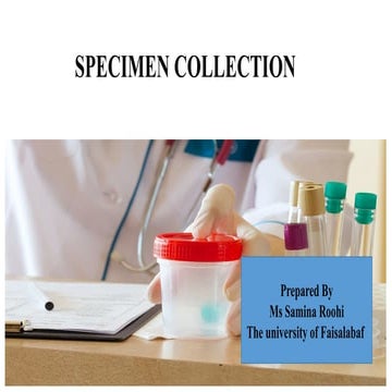 SPECIMEN COLLECTION by samina Roohi.pptx
