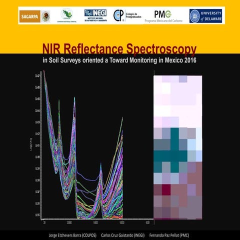 NIR Reflectance Spectroscopy in Soil Surveys oriented Toward Monitoring ...