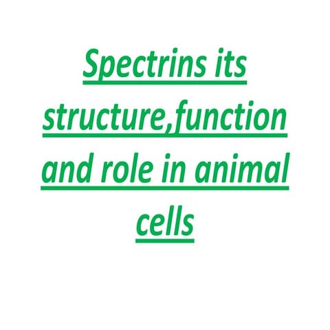 Spectrins its structure,function and role in animal cells | PPTX