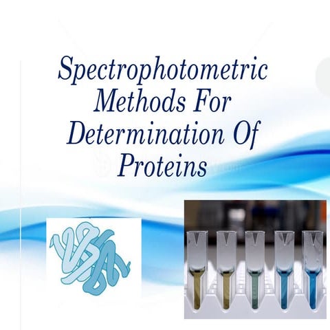 DIFFERENT METHODS OF PROTEIN ESTIMATION - PROTEINS AND ENZYMES ...
