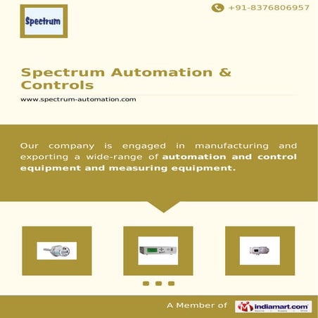 Spectrum Automation & Controls, Faridabad, Gas Analyzer | PDF