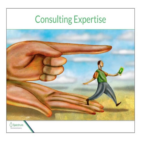 Spectrum Organizational Development - Consulting Expertise | PDF