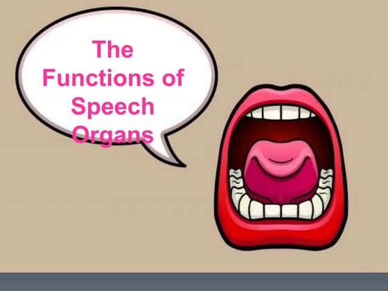 The organs of speech | PPTX