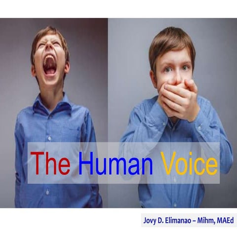 The Human Voice | PPTX