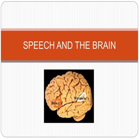 Speech and the Brain | PPTX