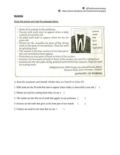 PT3/ FORM 2 Literature Cheat | PDF | Awards Shows | Events