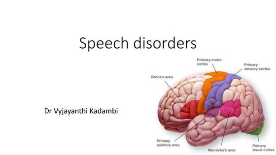 Anatomy of speech production | PPT