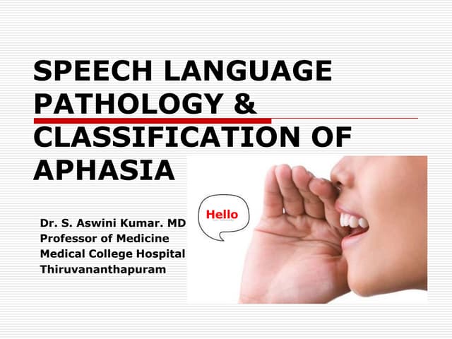 supported-conversation-for-adults-with-aphasia-sca