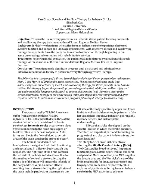 Speech Language Pathology | PPTX