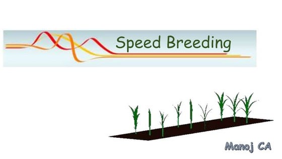 Speed Breeding and its implications in crop improvement | PPT