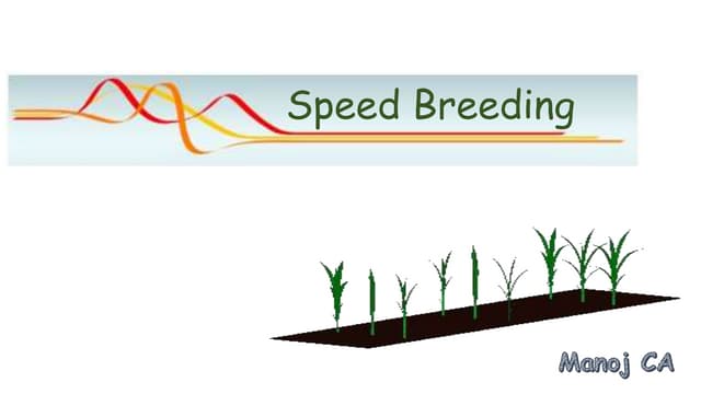 Speed breeding presentation | PPTX