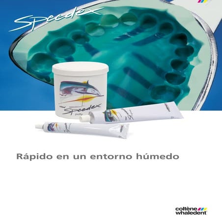 Alicia Gatita Presentations