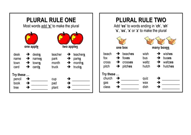 Plurals Of Words Ending In ‘O’ | PPTX