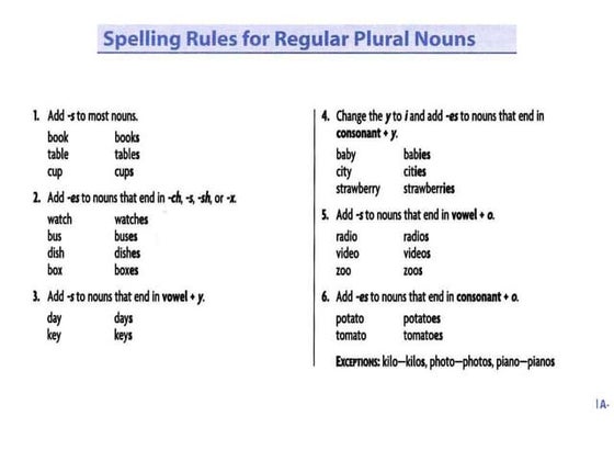 Singular and Plural Nouns | PPT
