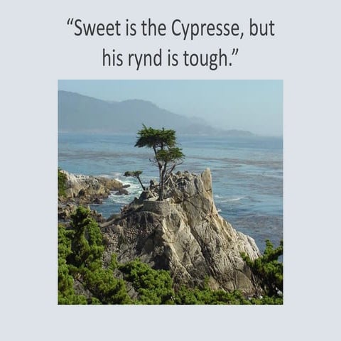 Spenser images | PDF