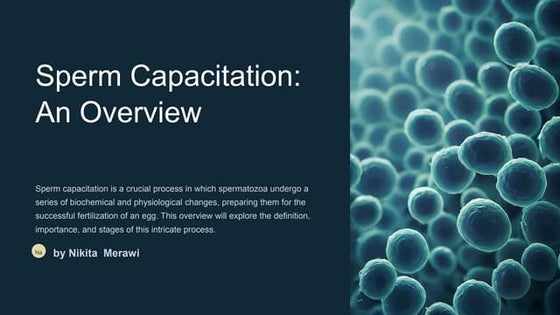 The process of Capacitation in human male .pptx