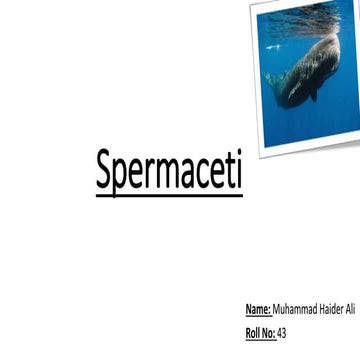 Spermaceti (Physeter macrocephalus) Pharmacognosy | PPTX | Chemistry ...