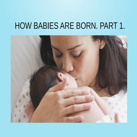How babies are born | PDF